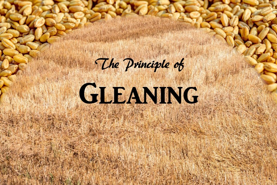 The Principle of Gleaning