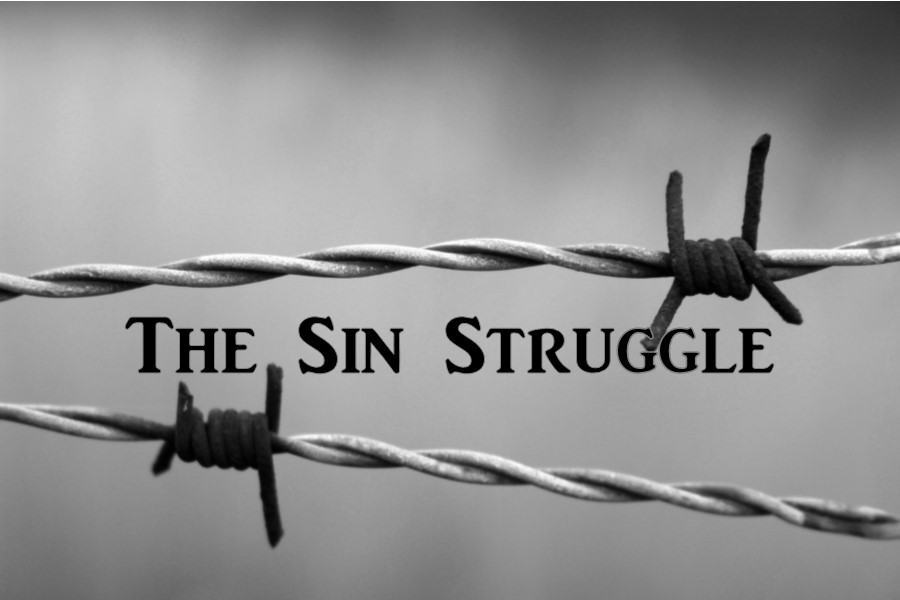 The Sin Struggle
